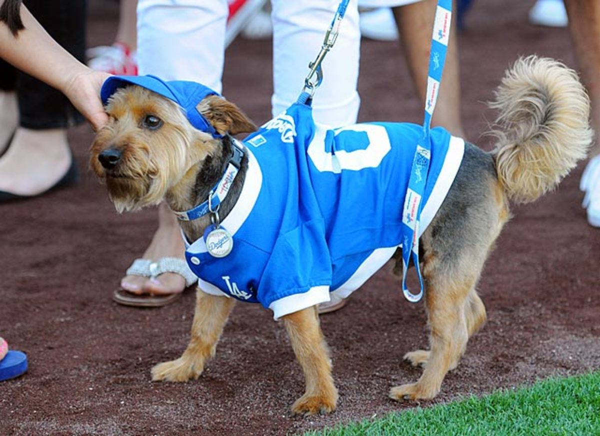 Ballpark Dogs - Sports Illustrated