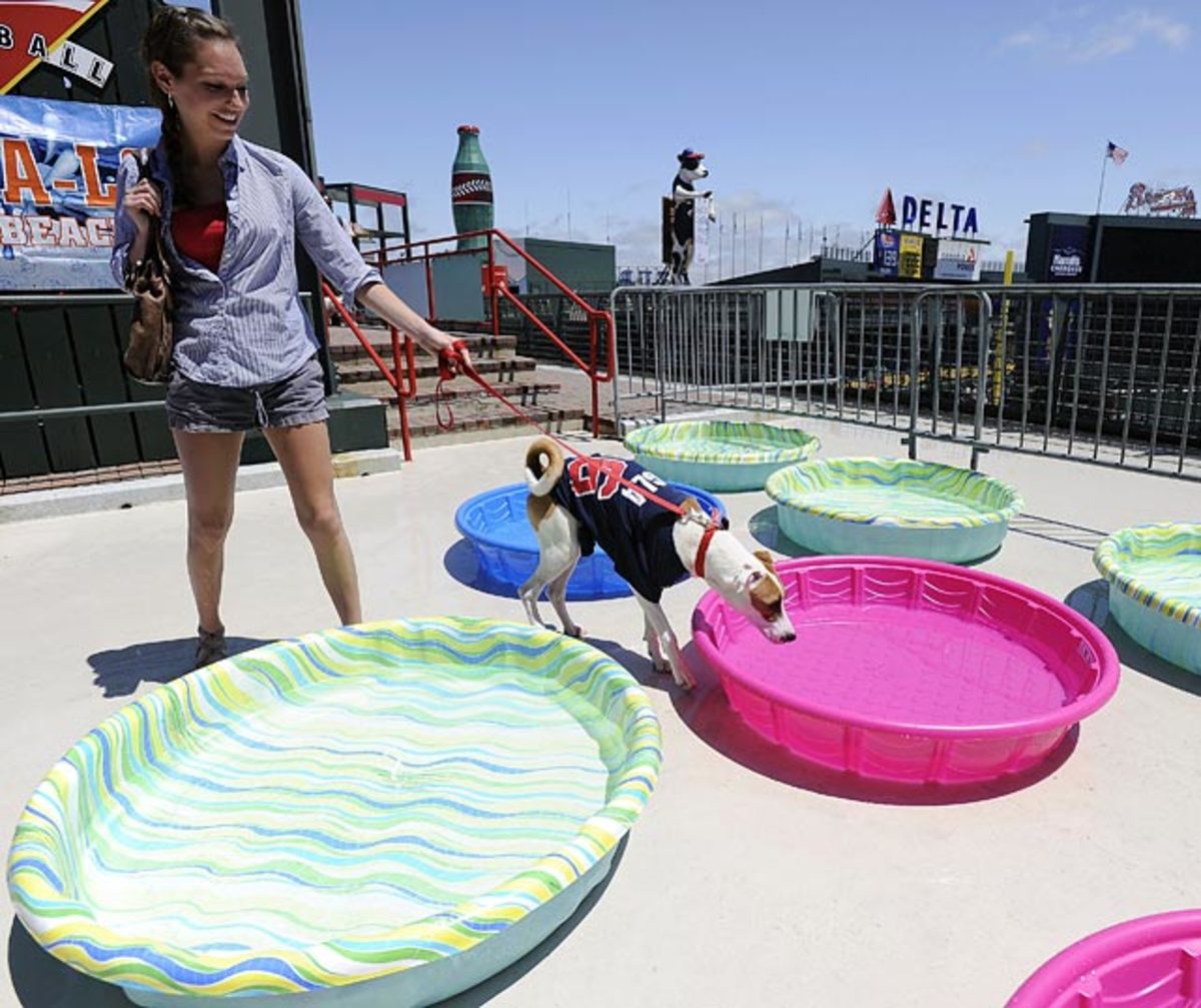 Ballpark Dogs - Sports Illustrated