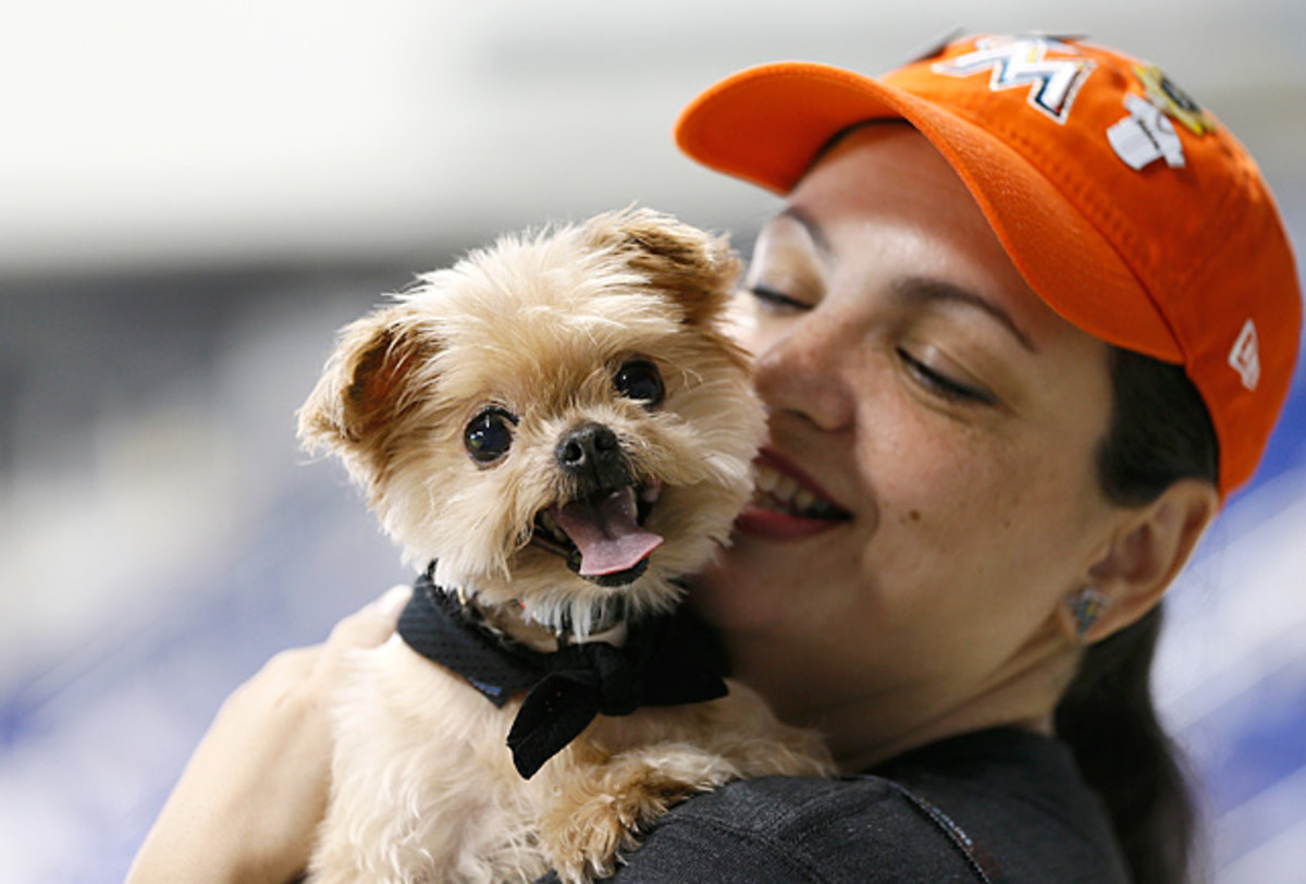 Ballpark Dogs - Sports Illustrated