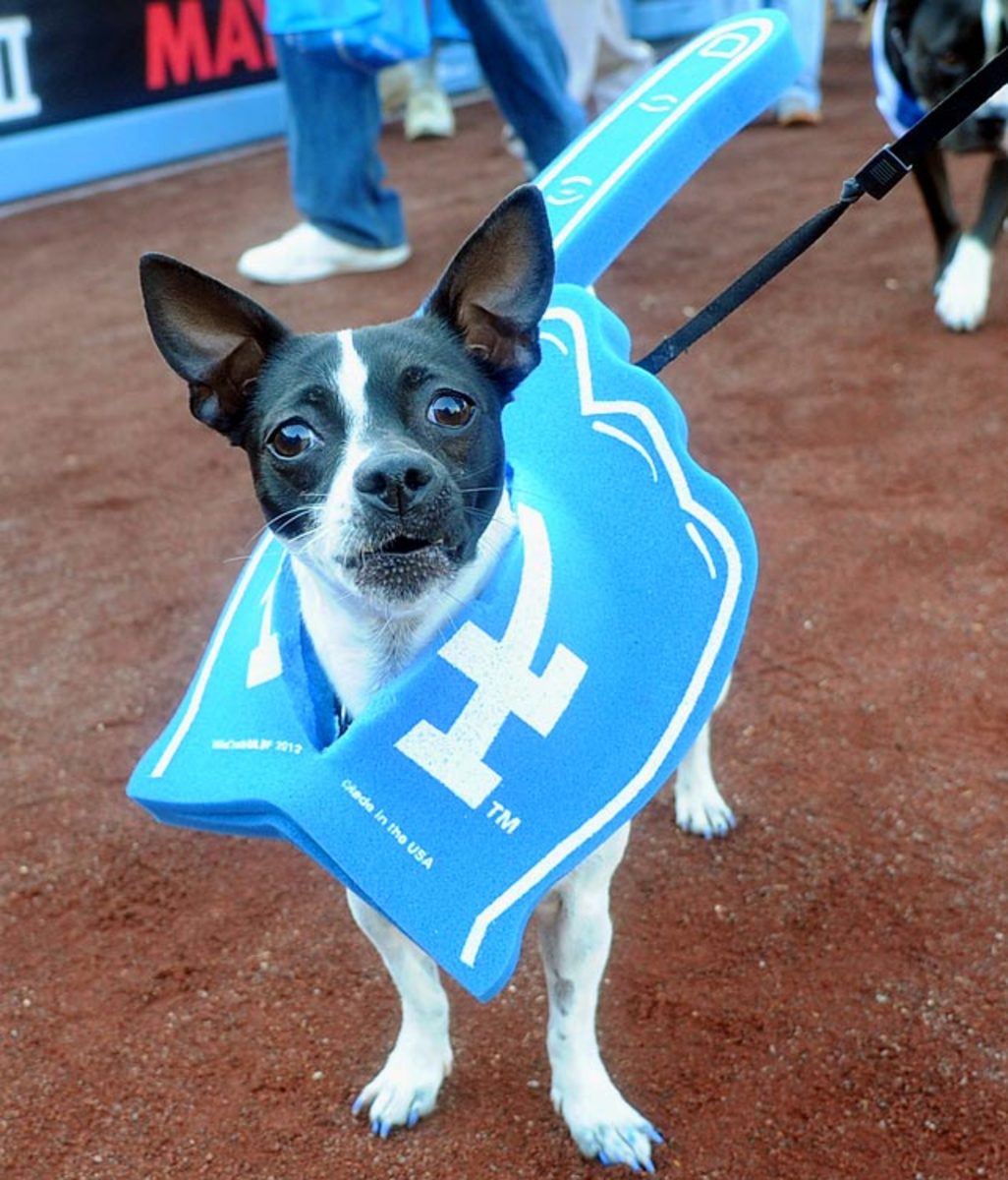 Ballpark Dogs - Sports Illustrated