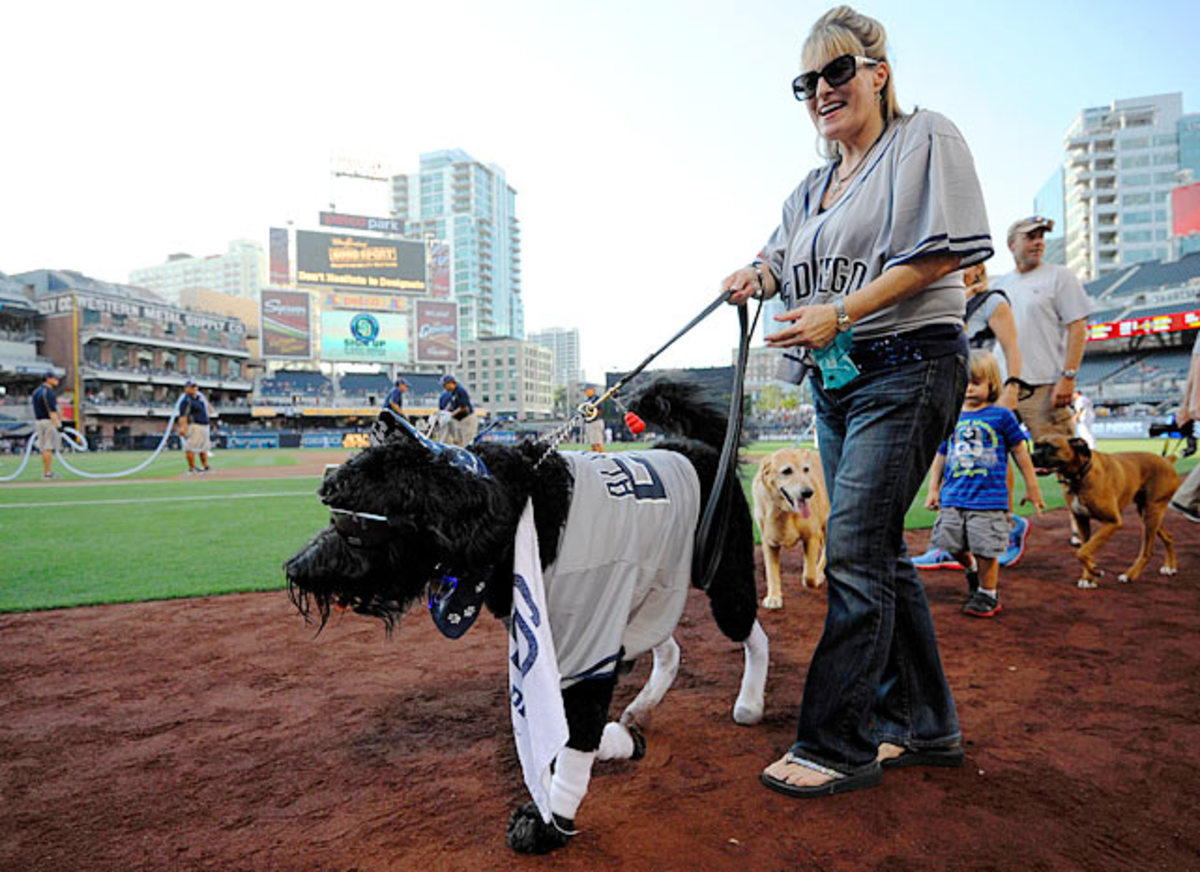 Ballpark Dogs - Sports Illustrated