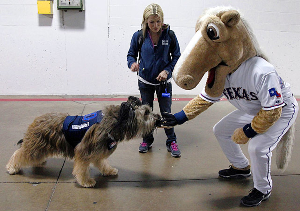 Ballpark Dogs - Sports Illustrated