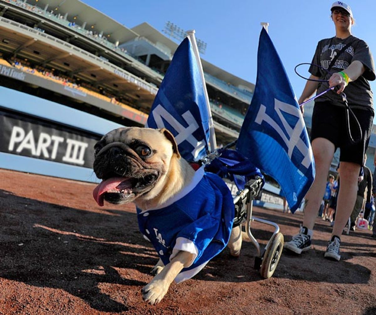 Ballpark Dogs - Sports Illustrated