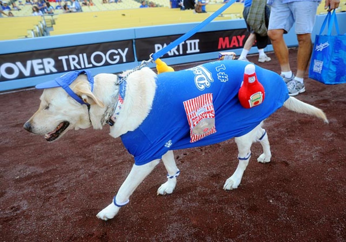 Ballpark Dogs - Sports Illustrated