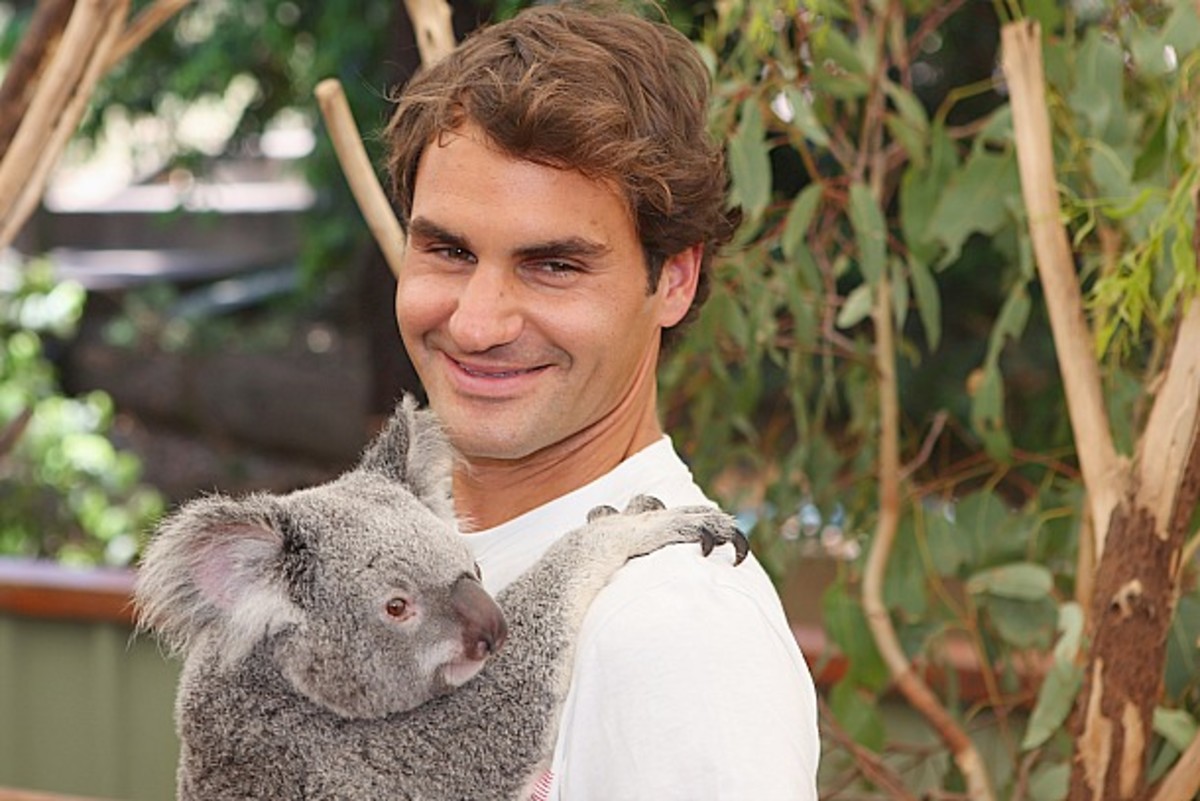 Photos: Roger Federer hangs out with koalas and Ninja Turtles in ...