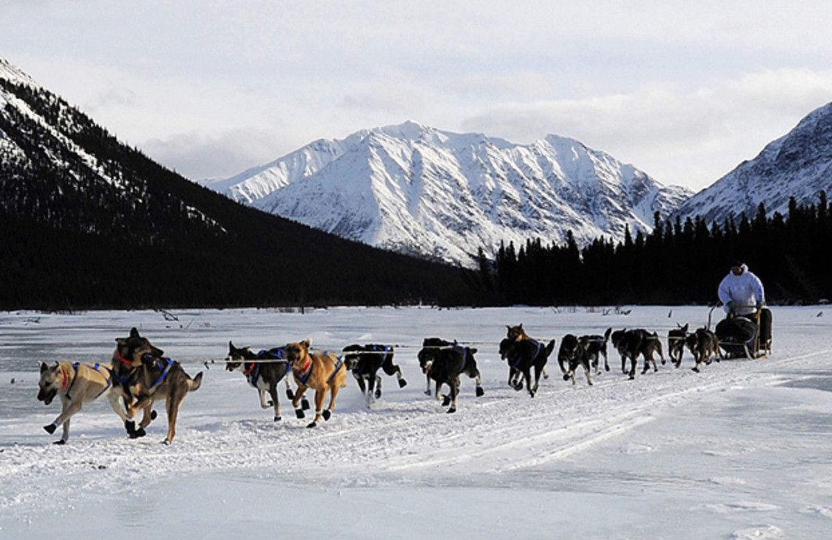 Mushers drawn to Iditarod race by love of sport, not money - Sports ...