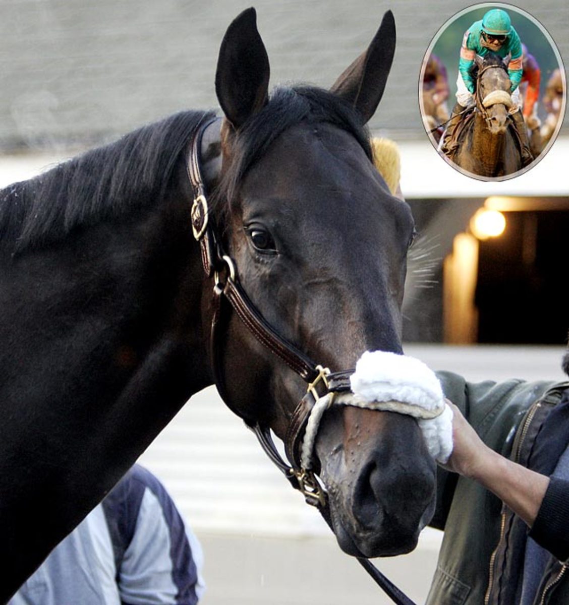 Fate of Kentucky Derby Favorites - Sports Illustrated