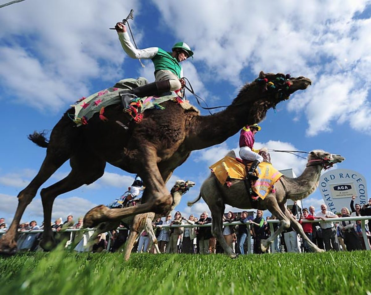 Did You See That? - Sports Illustrated