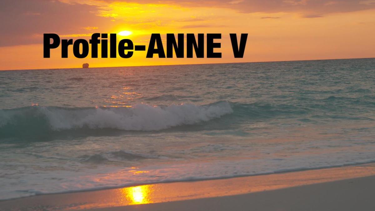 2014-AnneV-Brazil-Profile - Sports Illustrated