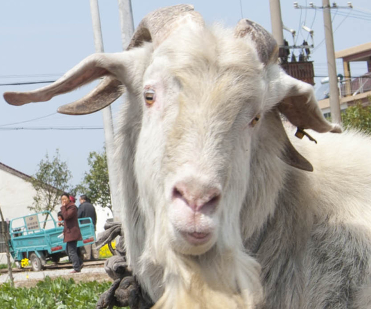 Thursday's A.M. Hot Clicks - Sports Illustrated