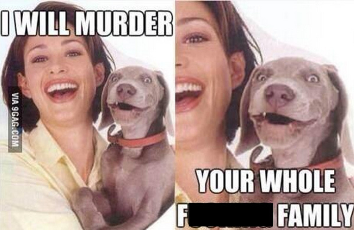 Jonathan Martin Text Reveals NFL Media and Fans as Confused by Memes ...