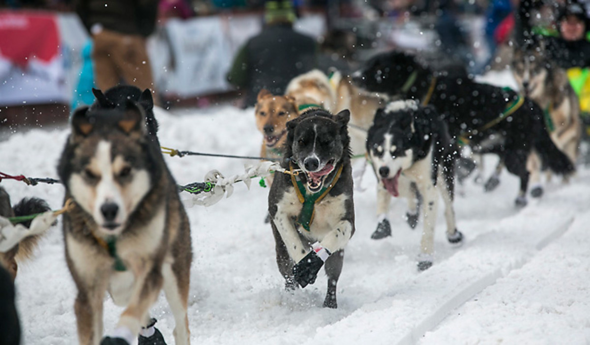 Sleds are off as the 2013 Iditarod commences - Sports Illustrated