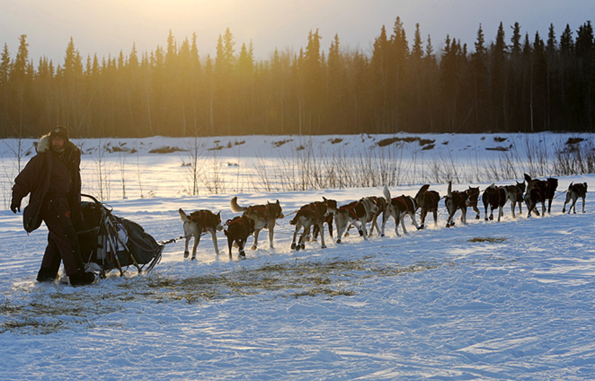 Iditarod leader will be treated to seven-course meal at next checkpoint ...