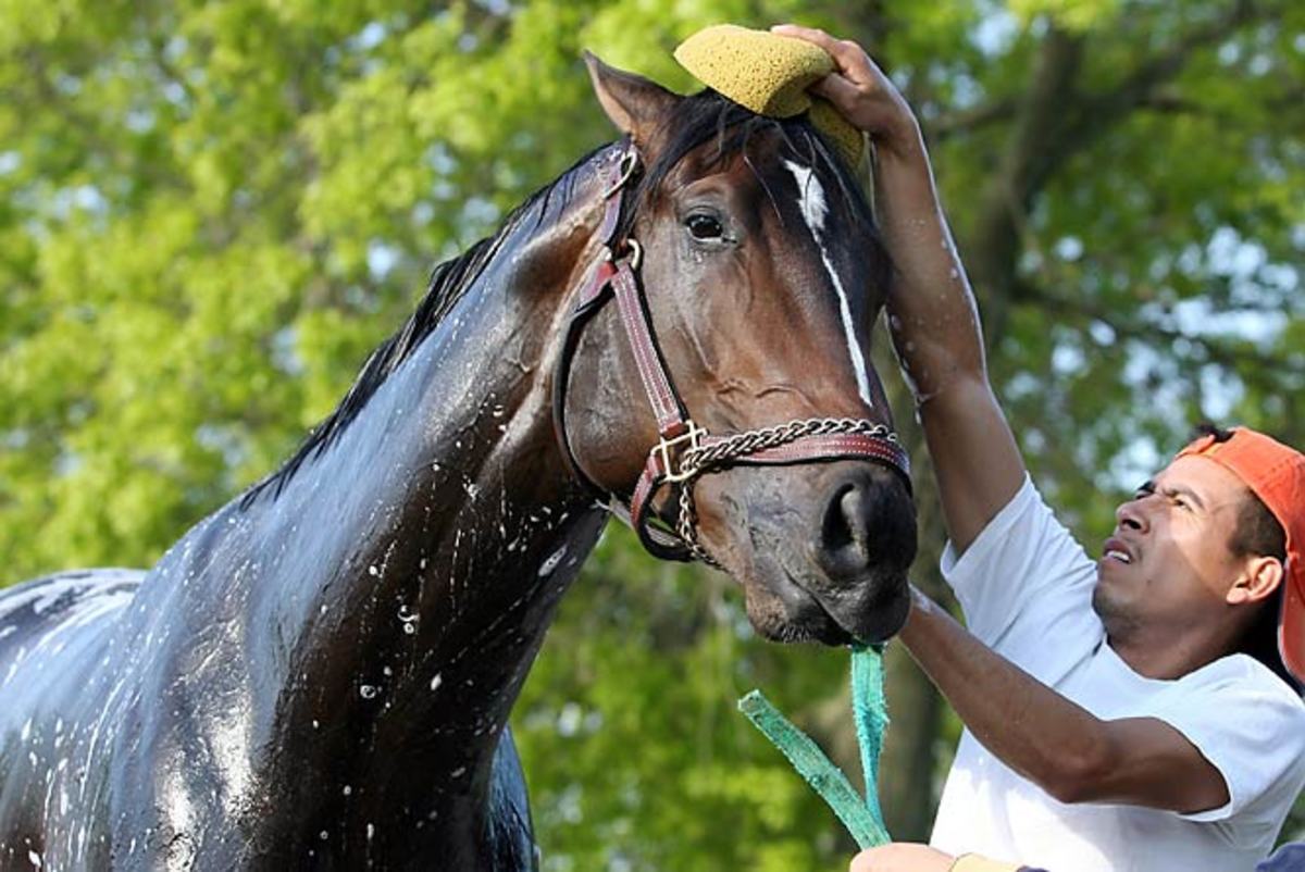 Preakness Preview - Sports Illustrated