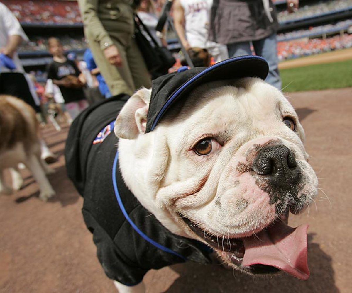 MLB Photos of the Week - Sports Illustrated