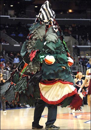 Life of a Tree: SIOC spends an evening with Stanford's arboreal mascot ...
