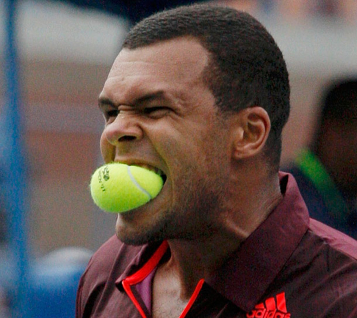 Tsonga snacks on a tennis ball - Sports Illustrated