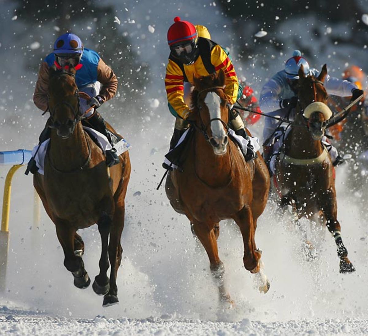 White Turf Horse Racing - Sports Illustrated