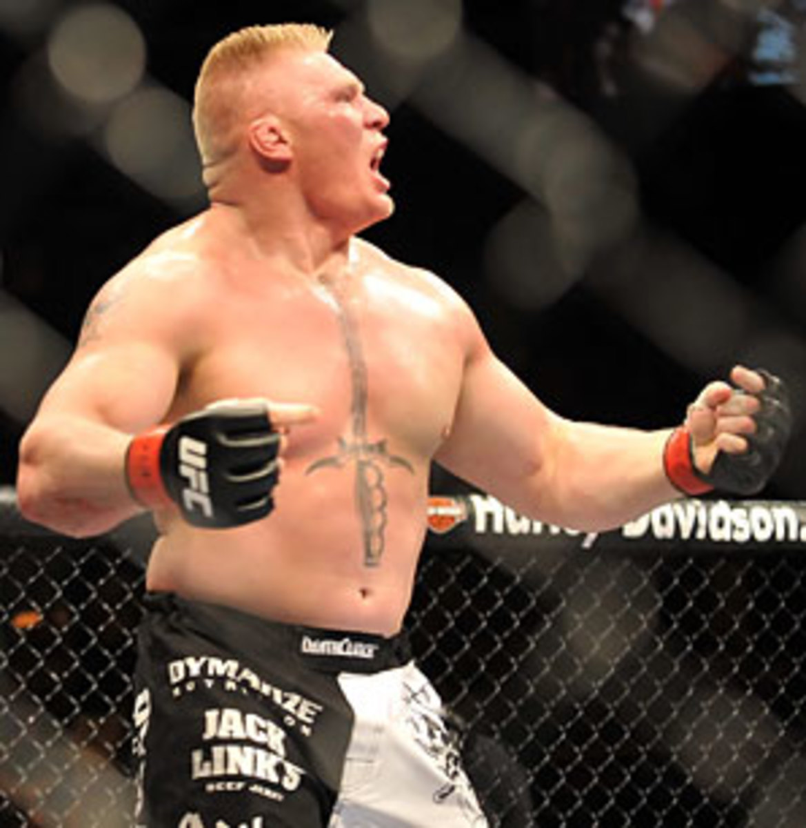 Josh Gross: Lesnar ends speculation over health, calls recovery 'a ...