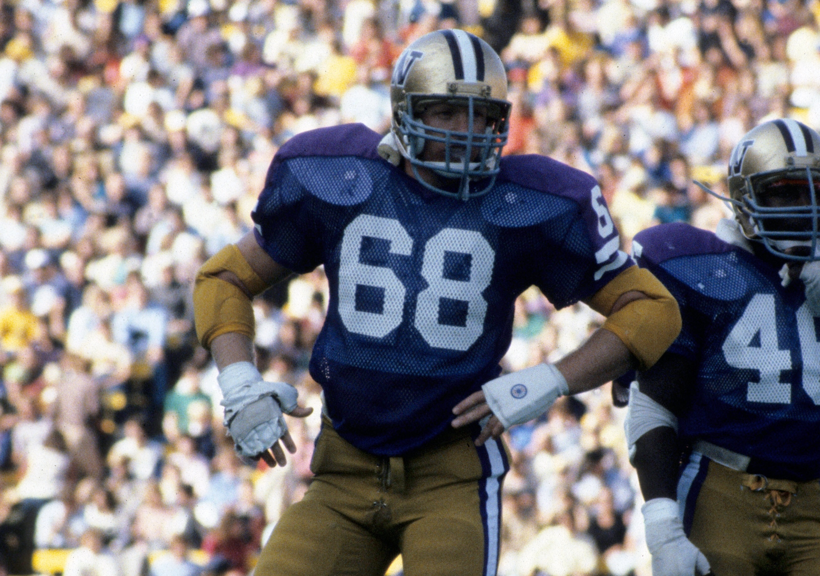 The Heartbroken Husky: A Very Personal Story - Sports Illustrated ...