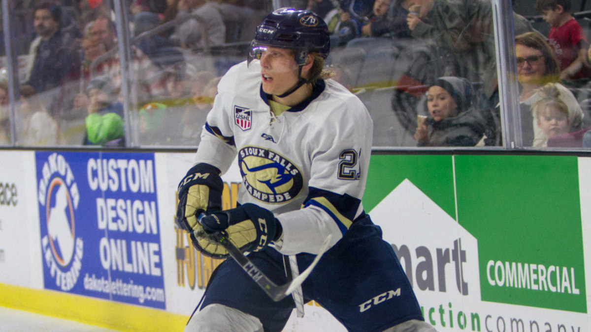 Spartan Hockey Adds Mitchell Mattson for 2018-19 - Sports Illustrated ...