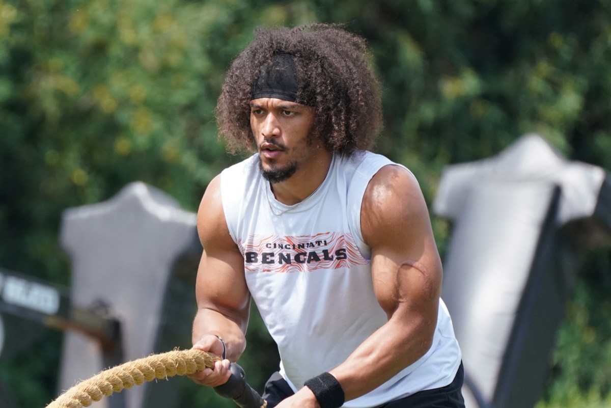 Cincinnati Bengals waive running back Rodney Anderson - Sports ...