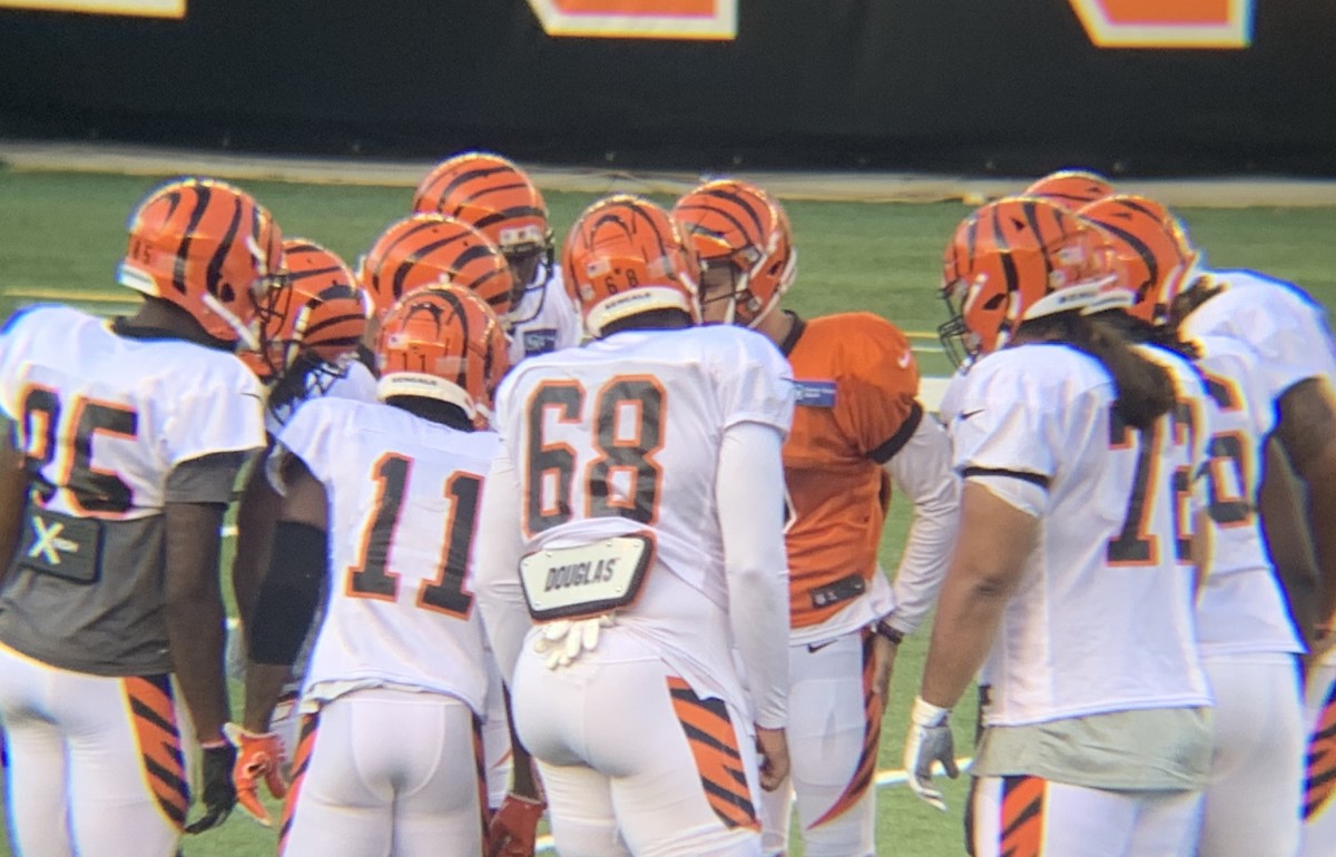 Check out photos from the Cincinnati Bengals mock game - Sports ...