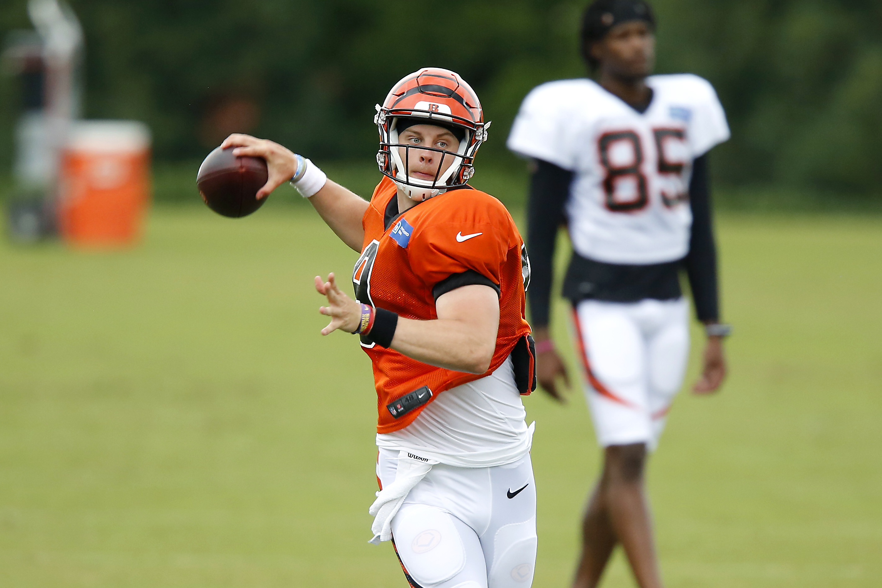 Tigers in the NFL: The LSU Football Players Who Made 53-Man Rosters for ...