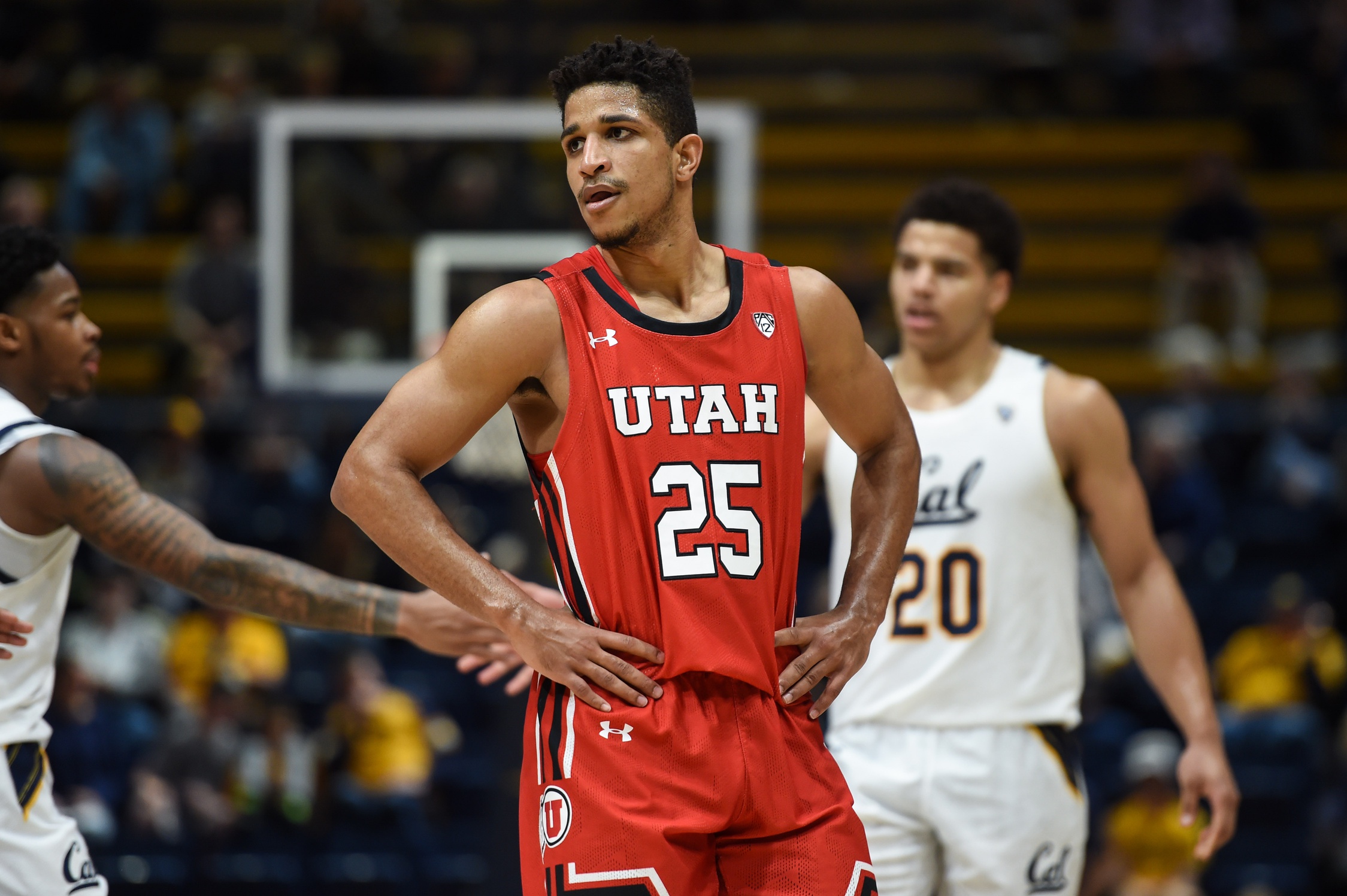 Utah Mens Basketball To Open Season On Thursday Against Washington ...