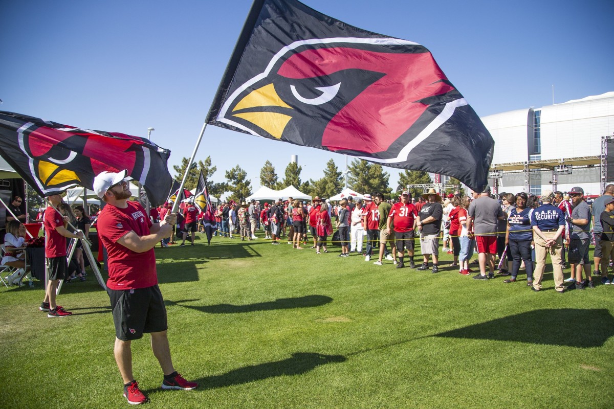 An Arizona Cardinals' Fan Rooting Guide to Wild Card Weekend - Sports ...