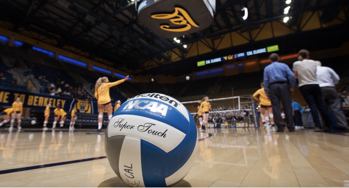 Cal Volleyball: Golden Bears Stun Defending National Champion Stanford ...
