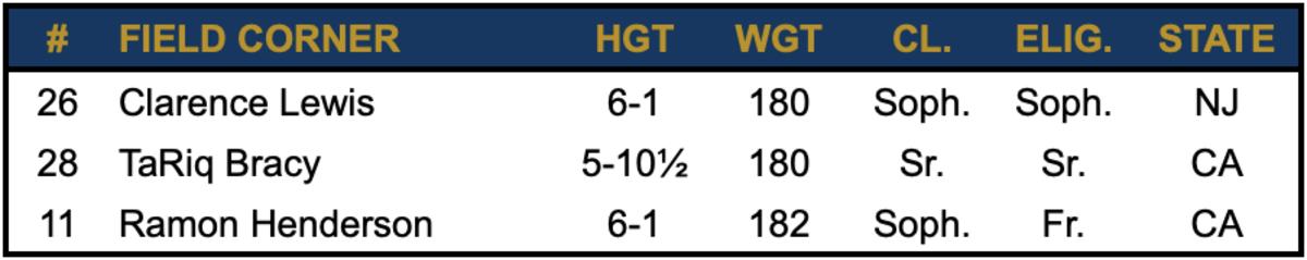 First Glance At The Notre Dame Spring Depth Chart On Defense - Sports ...