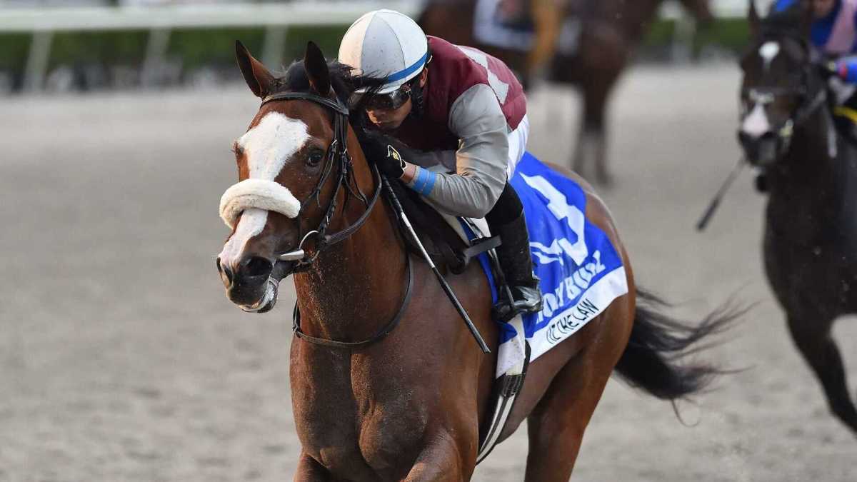Horse Race of the Week: Fountain of Youth Stakes Odds & Betting Plays ...