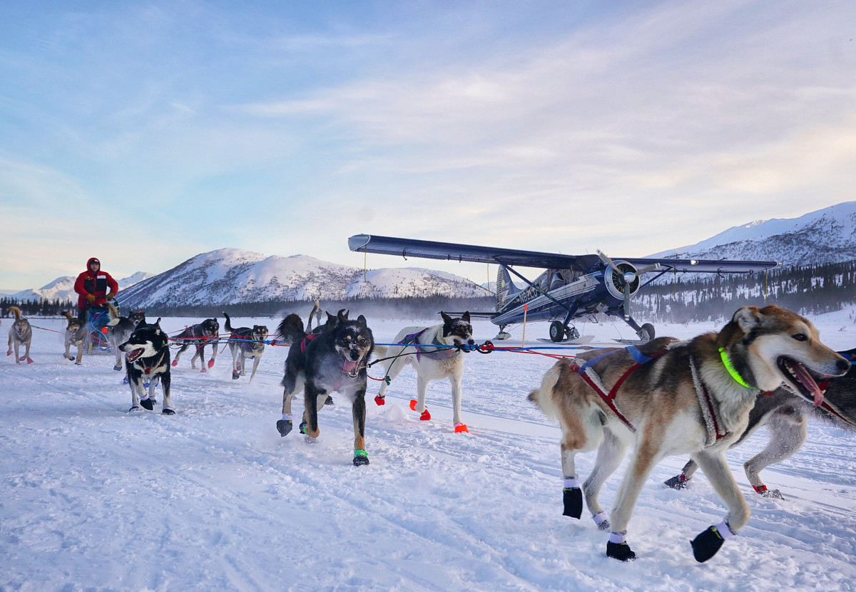Iditarod: What It's Like to Photograph the Alaskan sled dog race ...