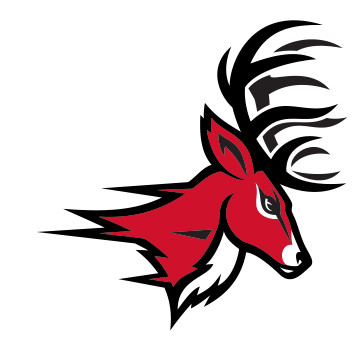 Fairfield Stags Roster - Sports Illustrated