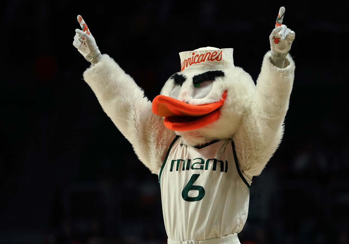 University Of Miami Mascot
