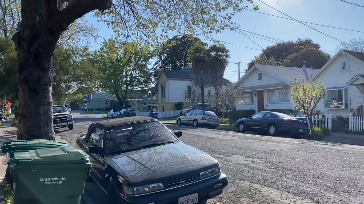 Isolation Diaries: Minna Stess - Sports Illustrated