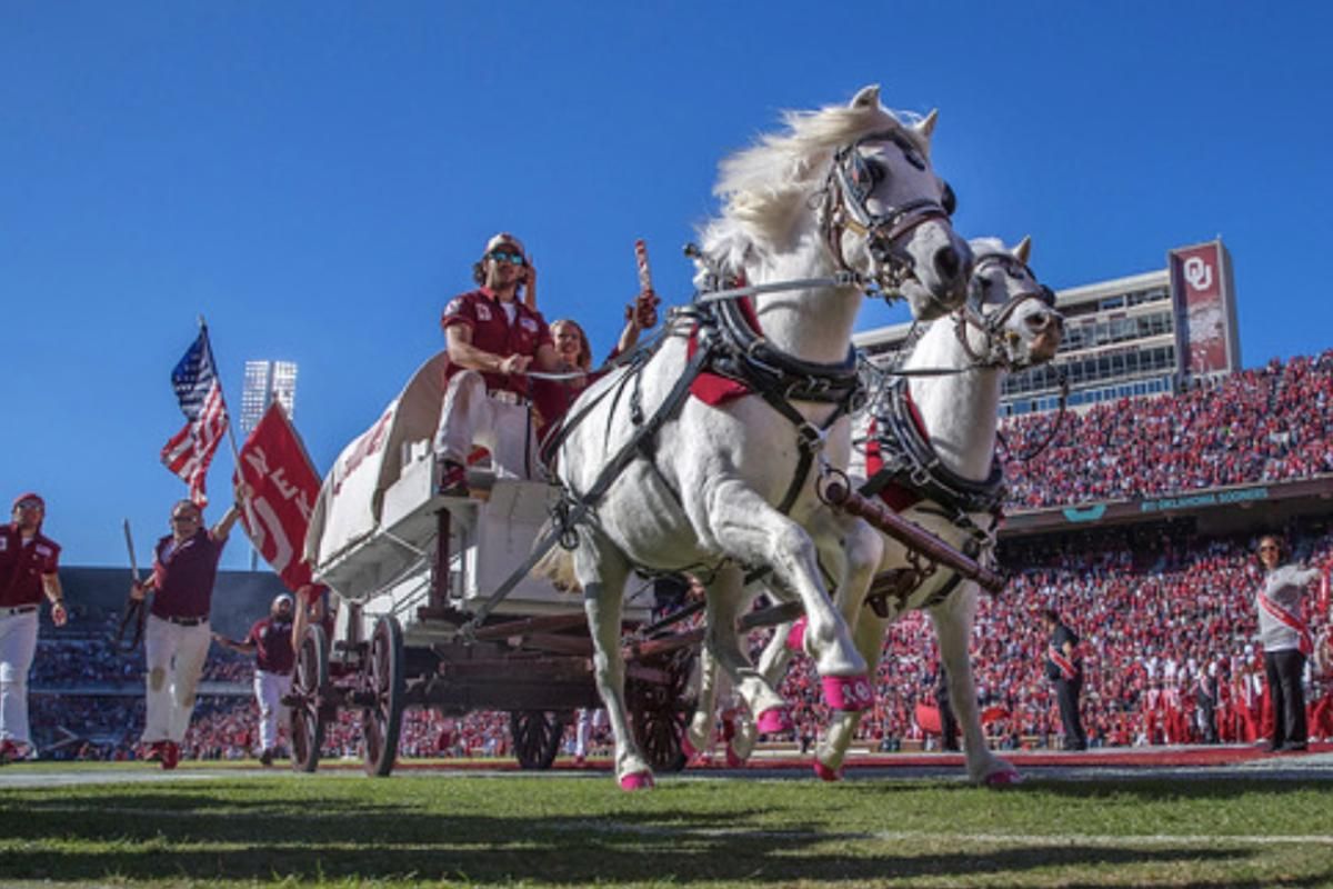 University of Oklahoma president intends return to on-campus learning ...