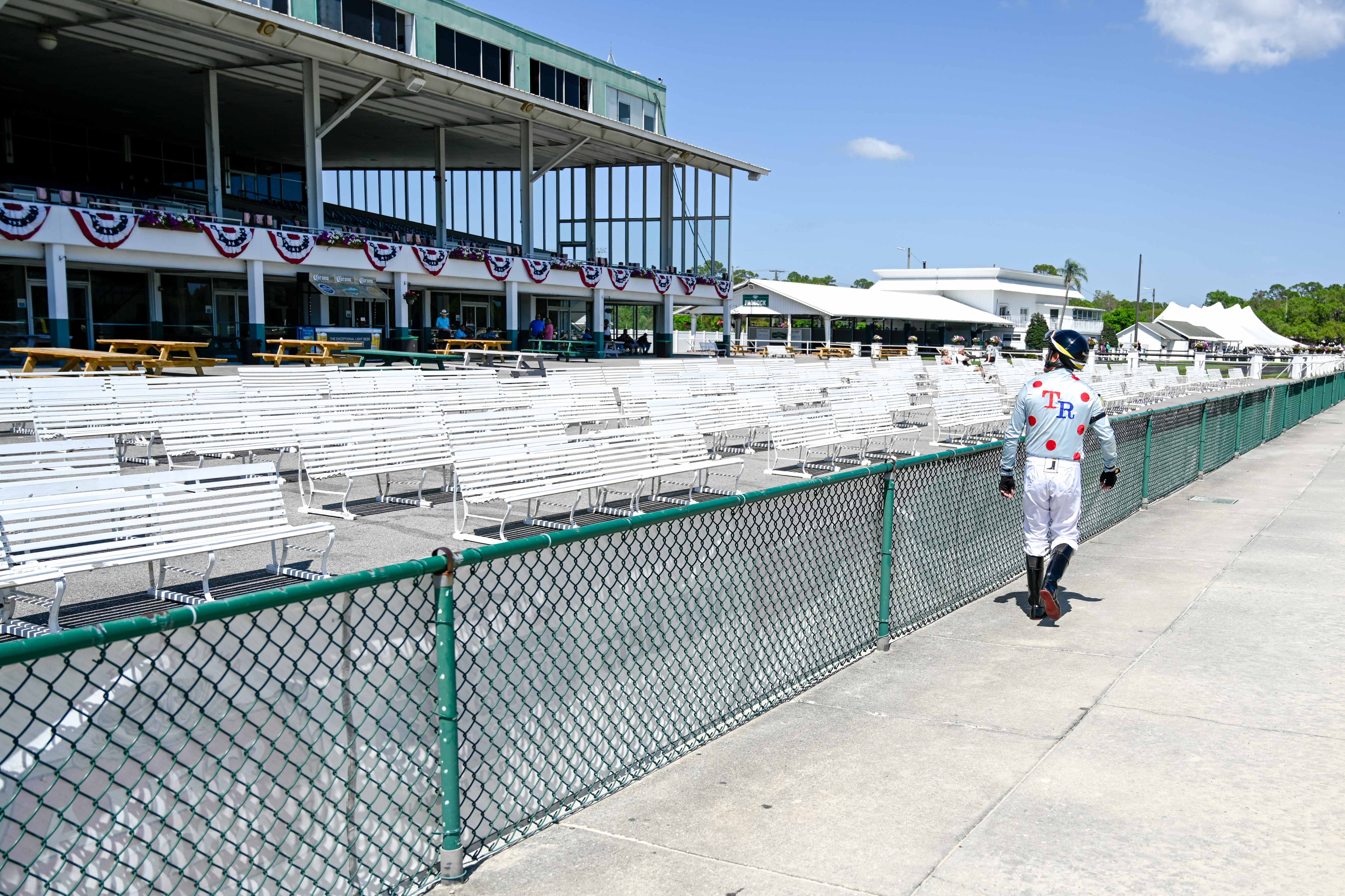 Horse Racing Looking To Get Back On Track - TMG Sports