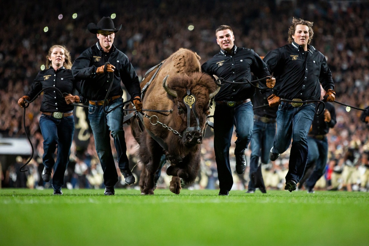 CU Buffs bolster recruiting staff - Sports Illustrated Colorado ...