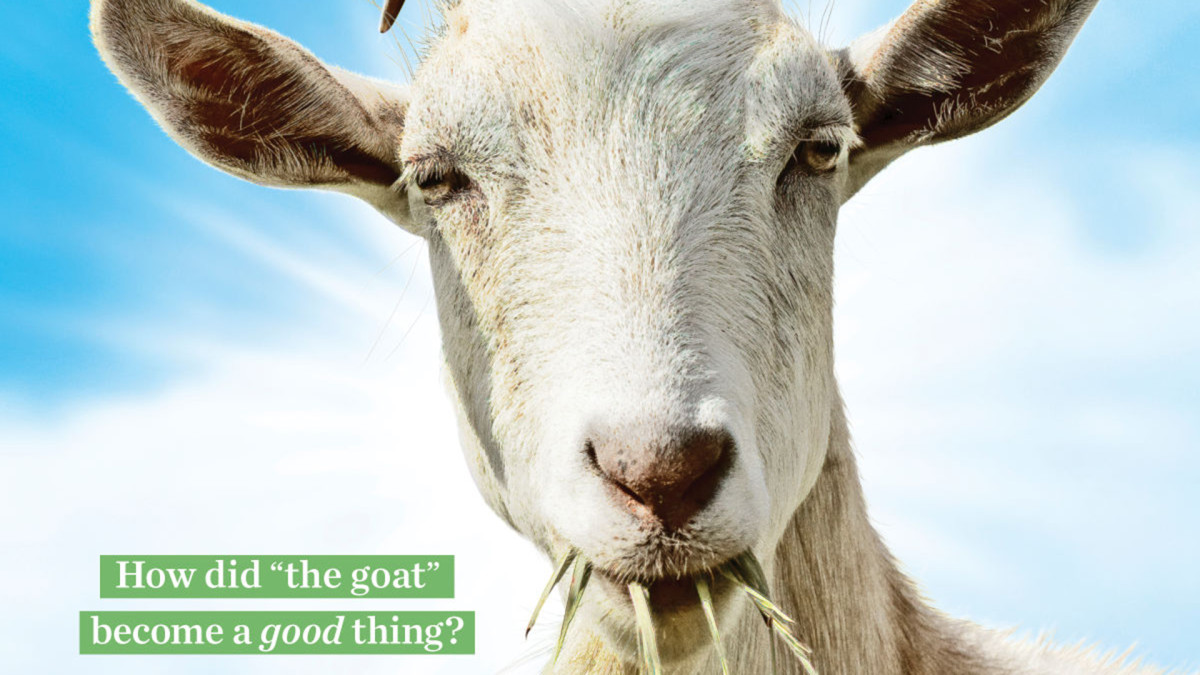 'The Goat' or 'The GOAT': How did this former term of disapproval turn ...