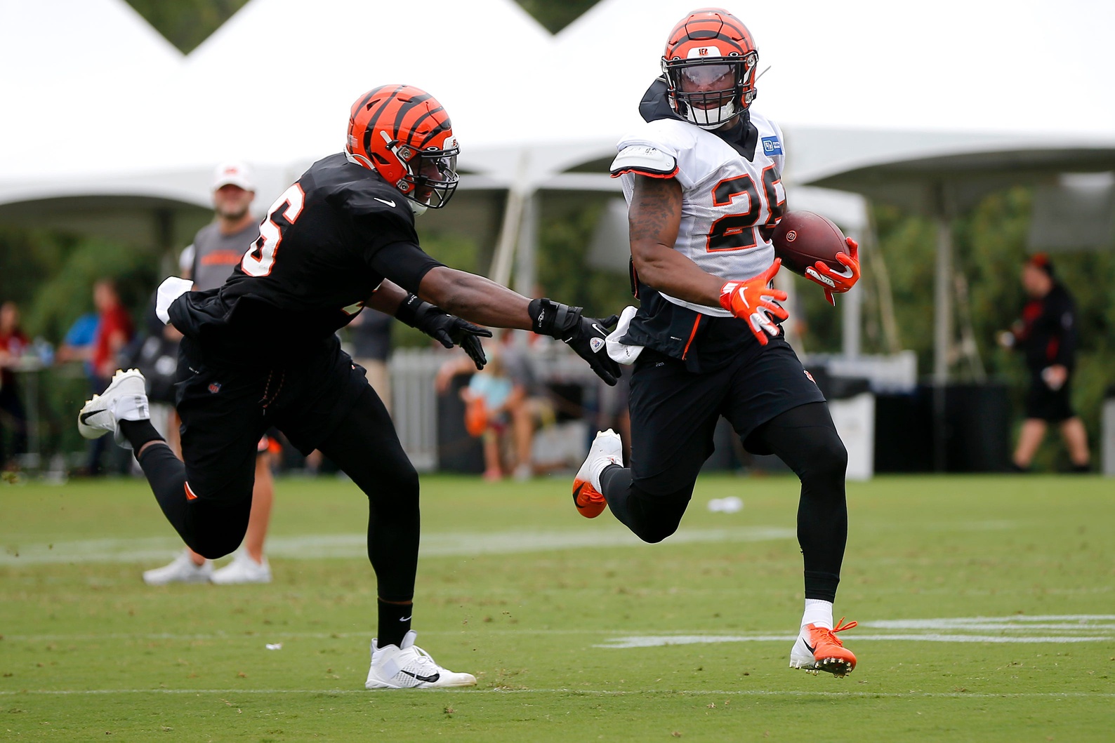 NFLPA advises players to stop working out in groups, Cincinnati Bengals ...