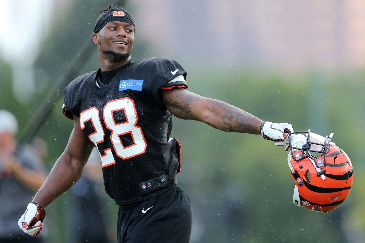 Cincinnati Bengals star Joe Mixon not projected to finish as a top-10 ...