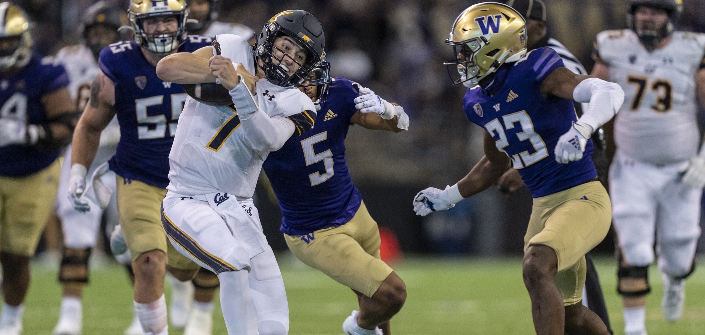 Powell Makes Bears Pay on Field, Hopes to Make UW Pay for Him - Sports ...