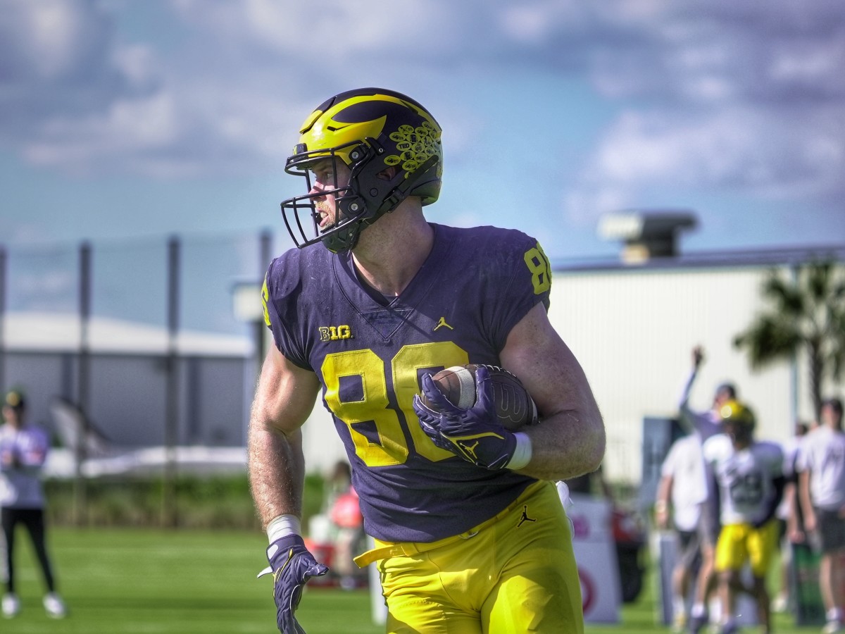 Ten Wolverines Make Todd McShay's NFL Draft Big Board - Sports ...