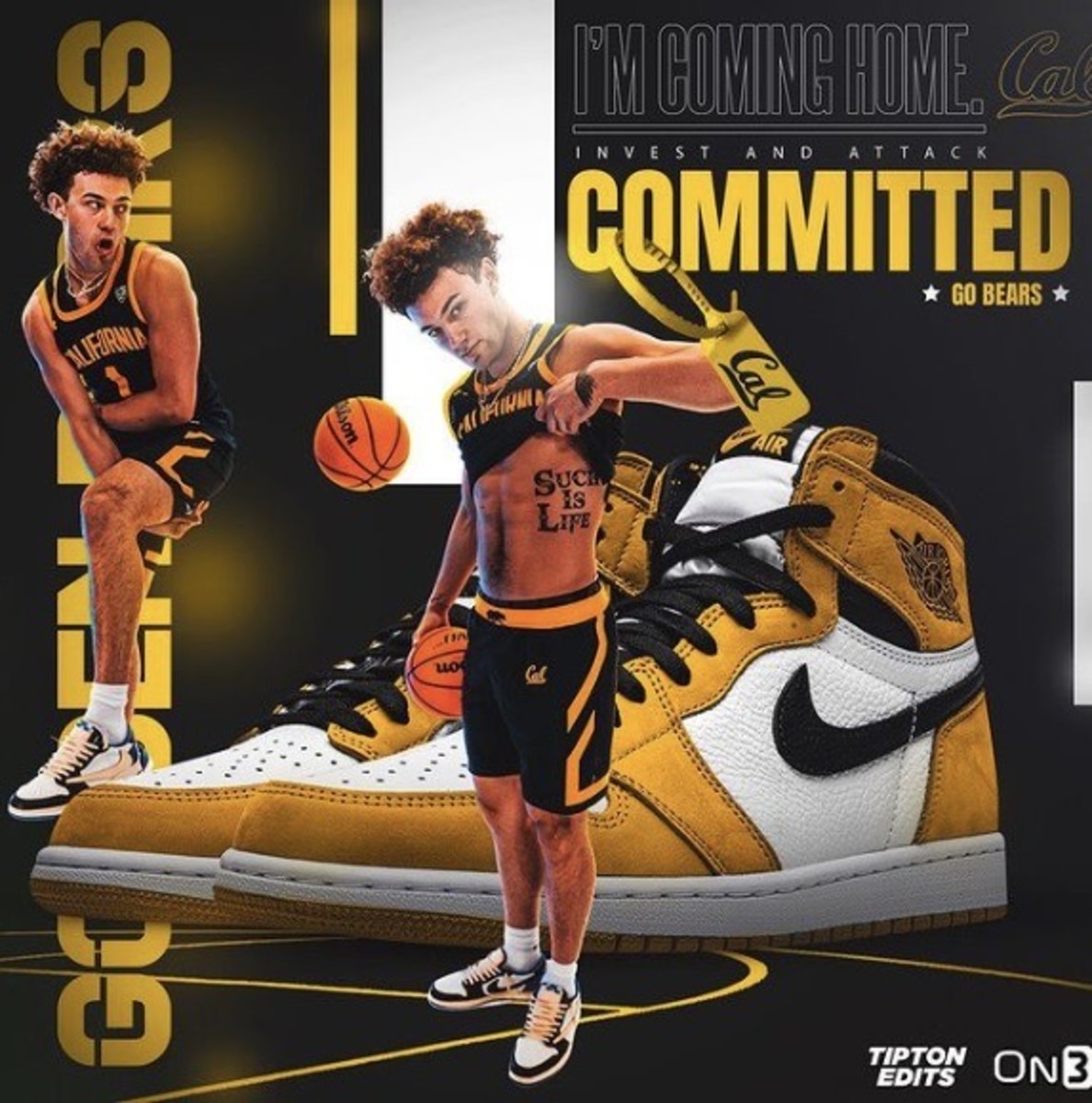 Cal Basketball: Bears Get Commitment From Kentucky/Texas Transfer Devin ...