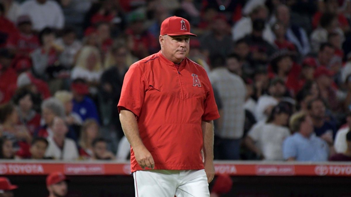 Mike Scioscia to manage USA Baseball in Olympic qualifying - Sports ...