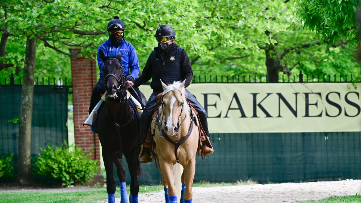 Horse Racing: Preakness Stakes Post Positions and Early Odds - Sports ...