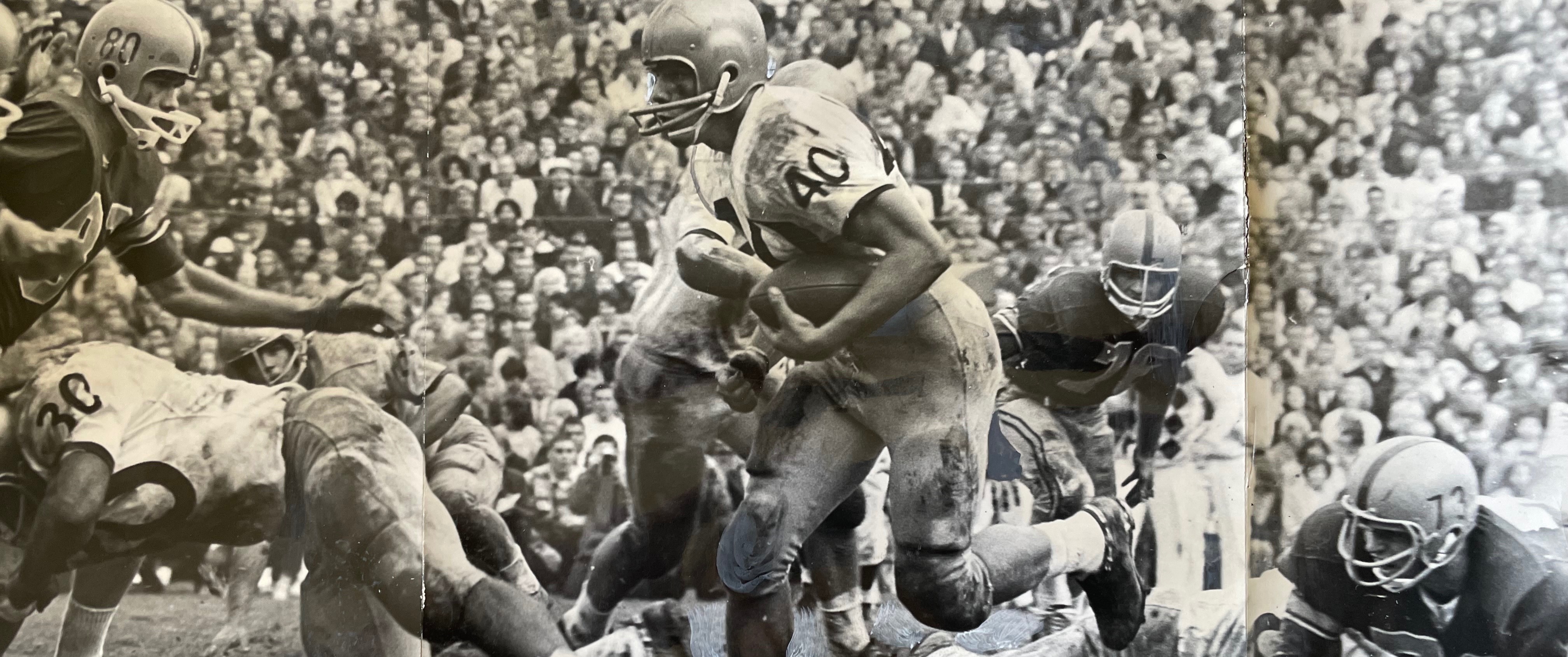 Nassib First Active NFL Player to Come Out, But Ex-Husky Was Pioneer ...