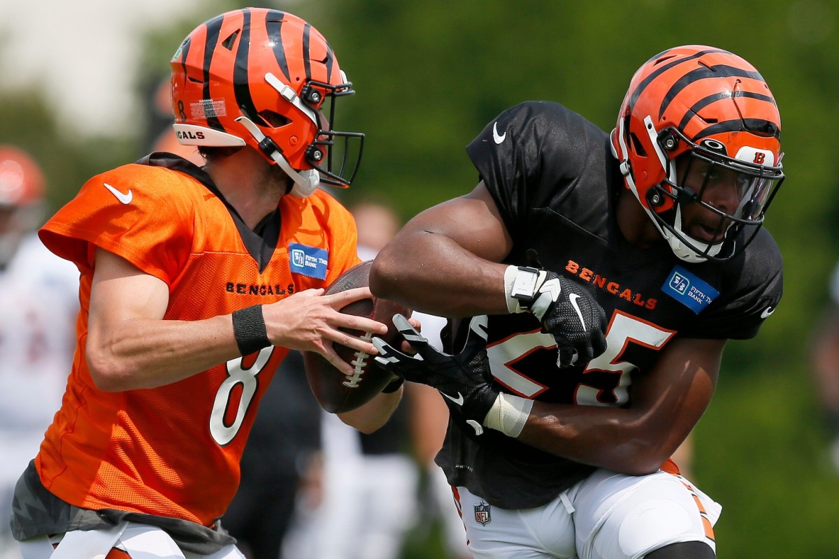 Players to Watch in Cincinnati Bengals' Regular Season Finale Against ...